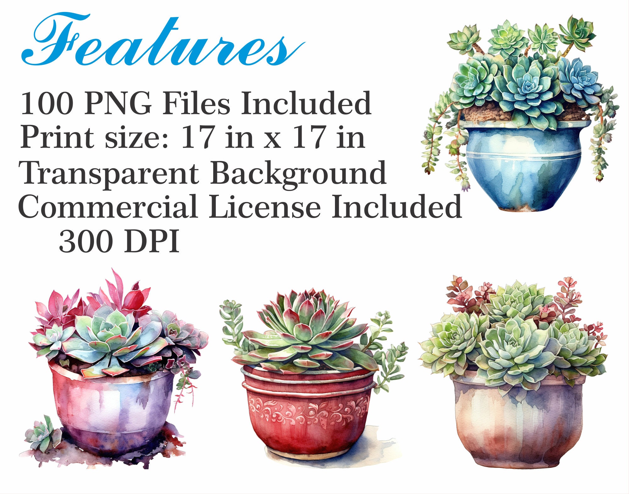 100 Succulent Pot Clipart Watercolor Succulent Clipart - Etsy