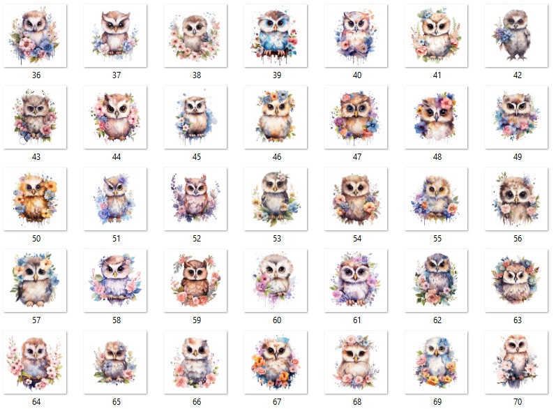 100 Baby Owl Clipart, Watercolor Baby Owl, Cute Owl Clipart, Owl ...