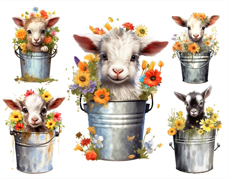 100 Baby Goat in Bucket Clipart, Watercolor Goats Clipart, Junk ...