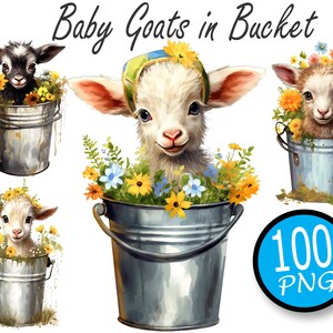 100 Baby Goat in Bucket Clipart, Watercolor Goats Clipart, Junk ...
