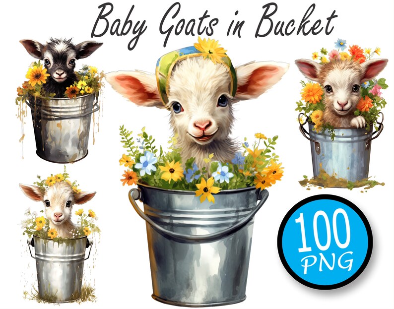 100 Baby Goat in Bucket Clipart, Watercolor Goats Clipart, Junk ...