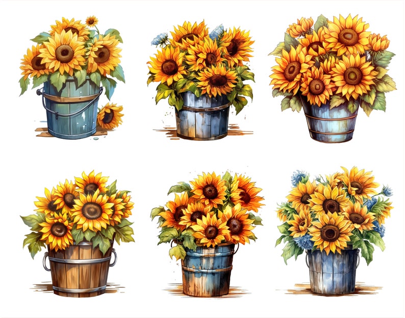 100 Sunflowers in Bucket Clipart, Watercolor Sunflowers Clipart Bundle, Junk Journal, Yellow ...