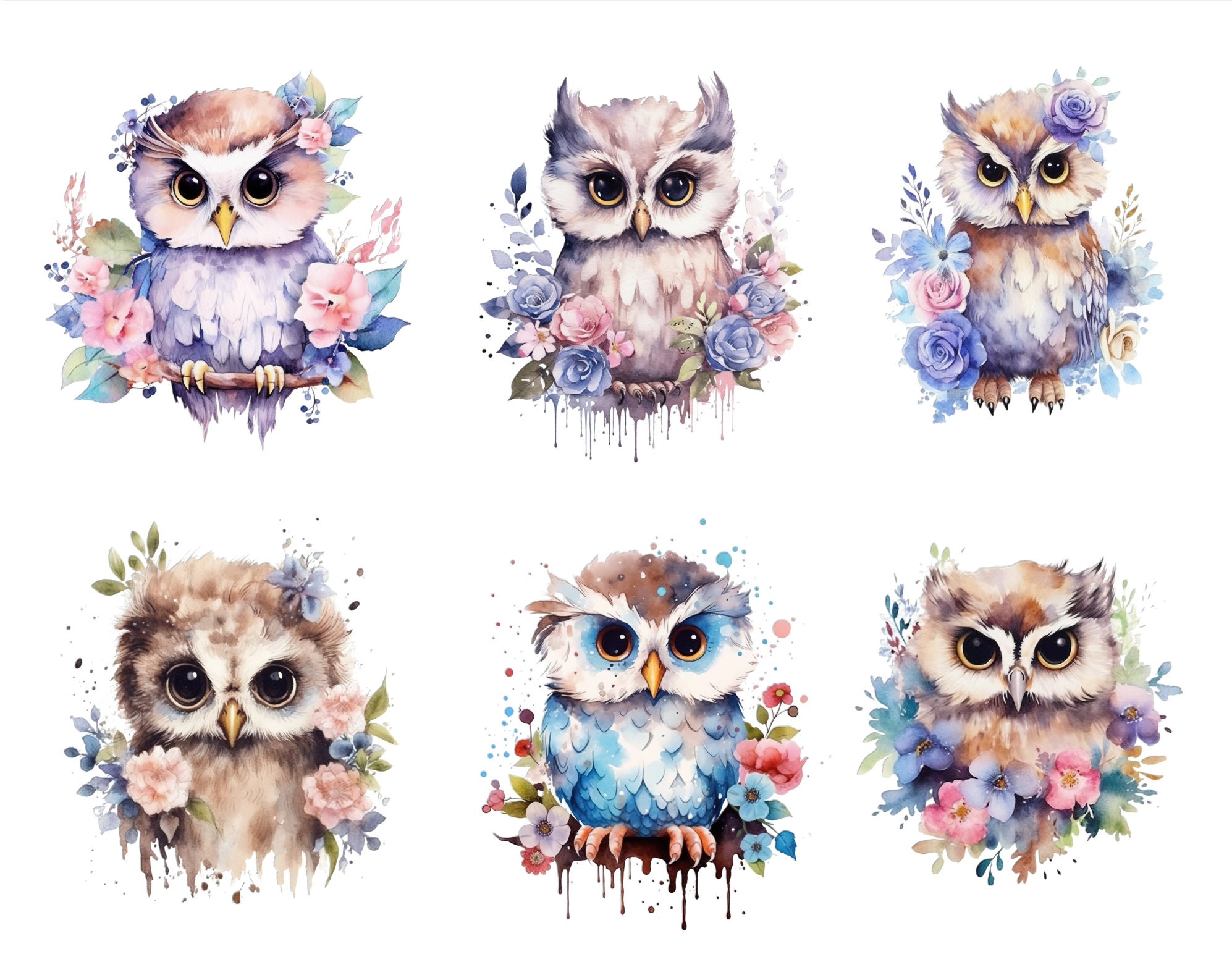 100 Baby Owl Clipart Watercolor Baby Owl Cute Owl Clipart - Etsy