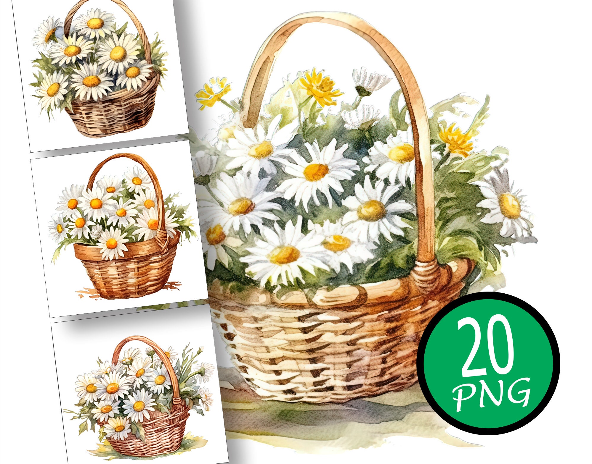 20 Daisy Basket Clipart Daisies Basket Clipart Flower Baskets Bundle ...
