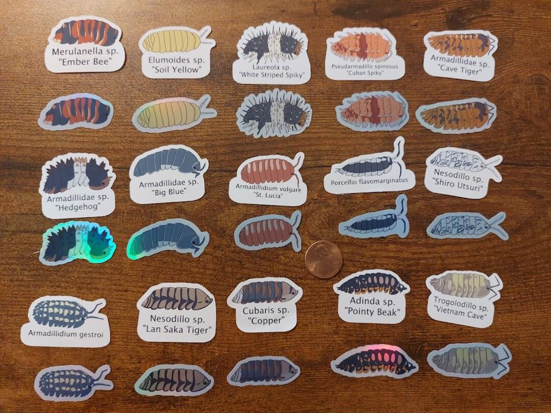 Digital Art Designed Isopod Sticker Mystery Box!!!! - Etsy