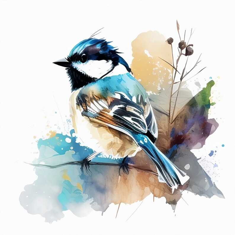 Watercolor Birds Clipart, 20 High Quality Jpgs, Digital Paper Craft ...