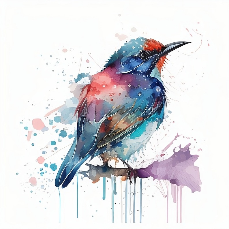 Watercolor Birds Clipart 20 High Quality Jpgs Digital Paper - Etsy