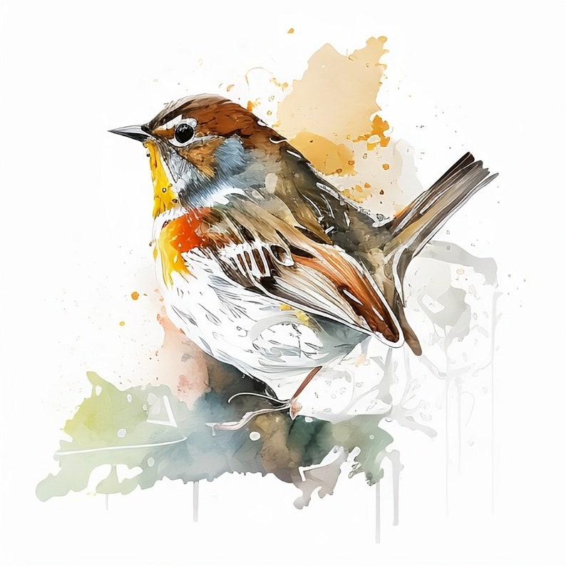 Watercolor Birds Clipart, 20 High Quality Jpgs, Digital Paper Craft ...