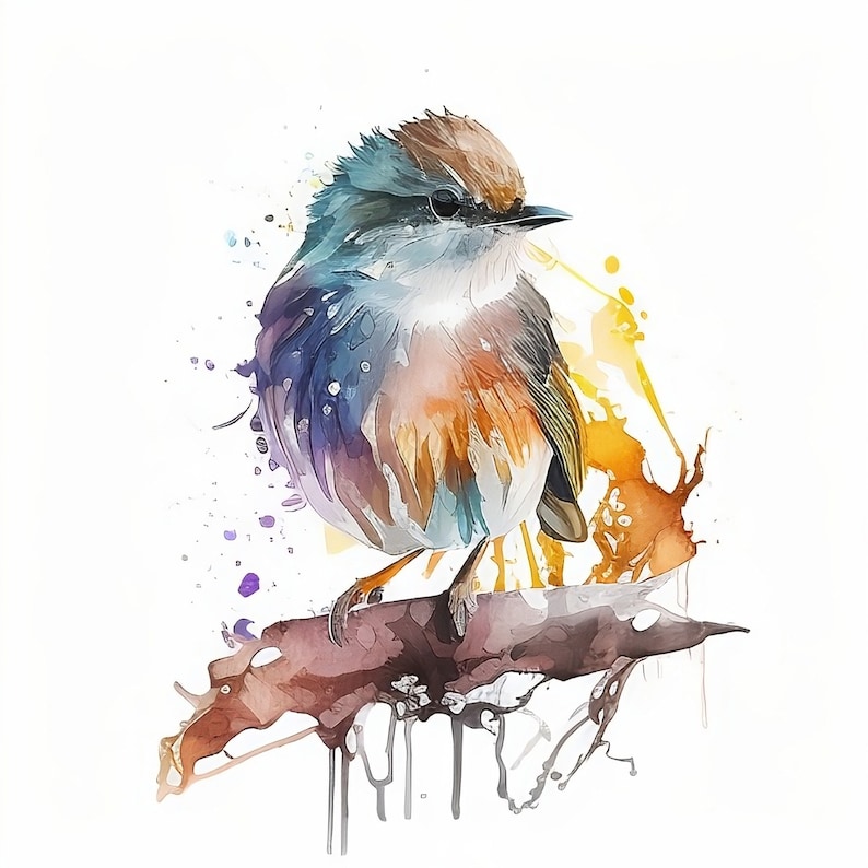 Watercolor Birds Clipart, 20 High Quality Jpgs, Digital Paper Craft ...