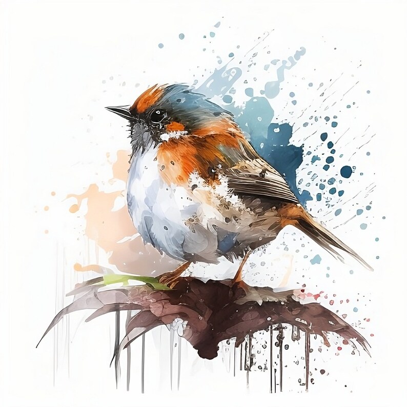 Watercolor Birds Clipart, 20 High Quality Jpgs, Digital Paper Craft ...