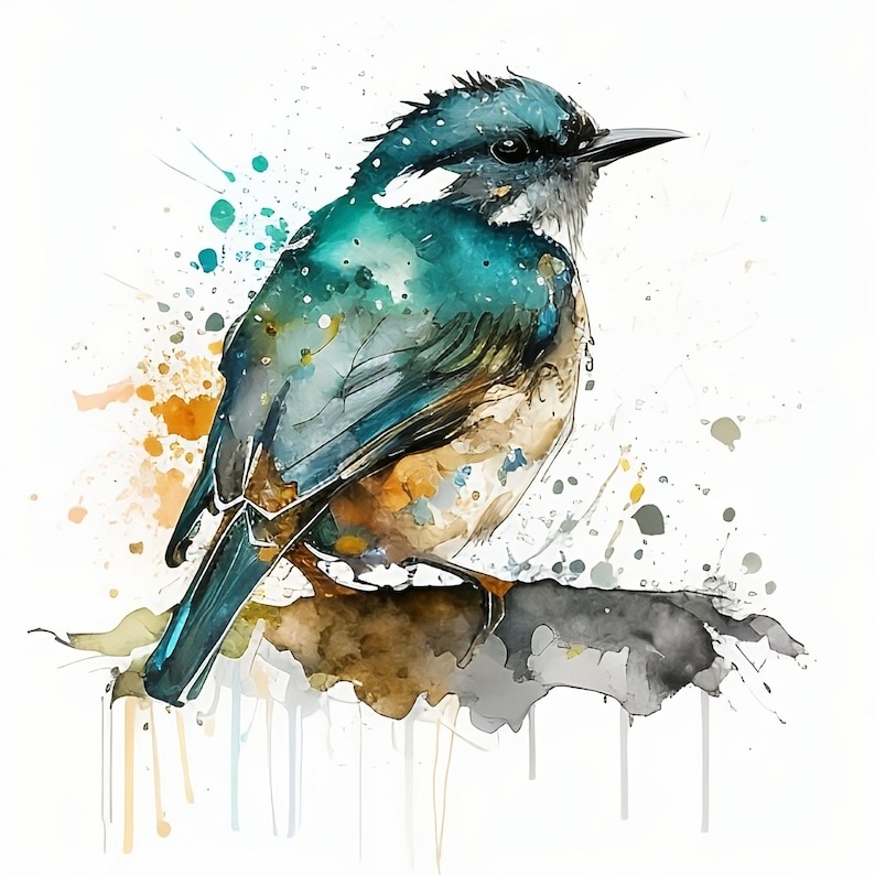 Watercolor Birds Clipart 20 High Quality Jpgs Digital Paper - Etsy