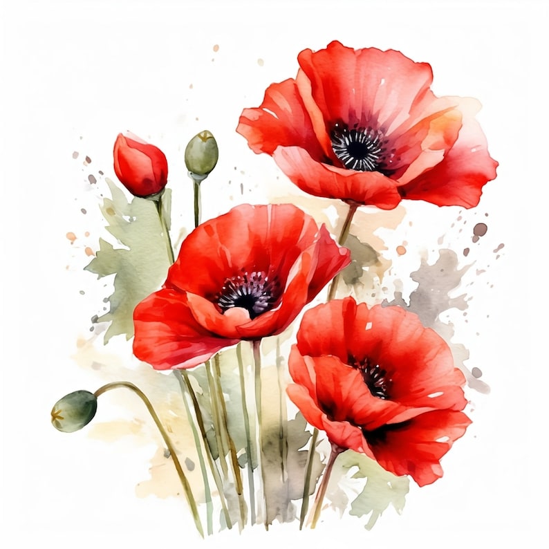 Mohnblumen Clipart, 20 hochwertige JPGs, Papierbasteln, Mischtechnik ...