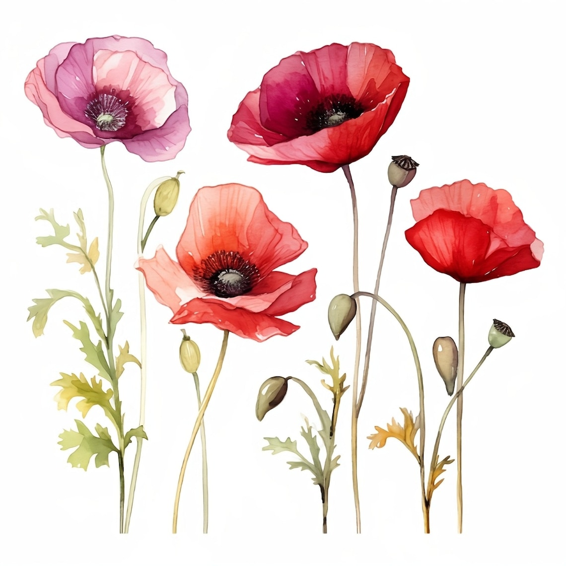 Klaprozen Clipart, 20 JPG's van hoge kwaliteit, papierambacht, mixed ...