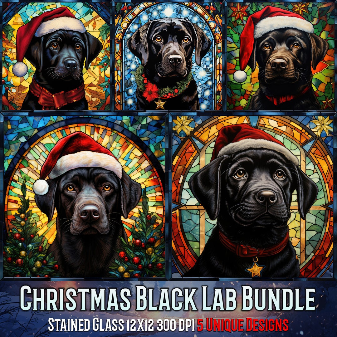 5 Stained Glass Christmas Black Labrador Stained Glass Clipart ...