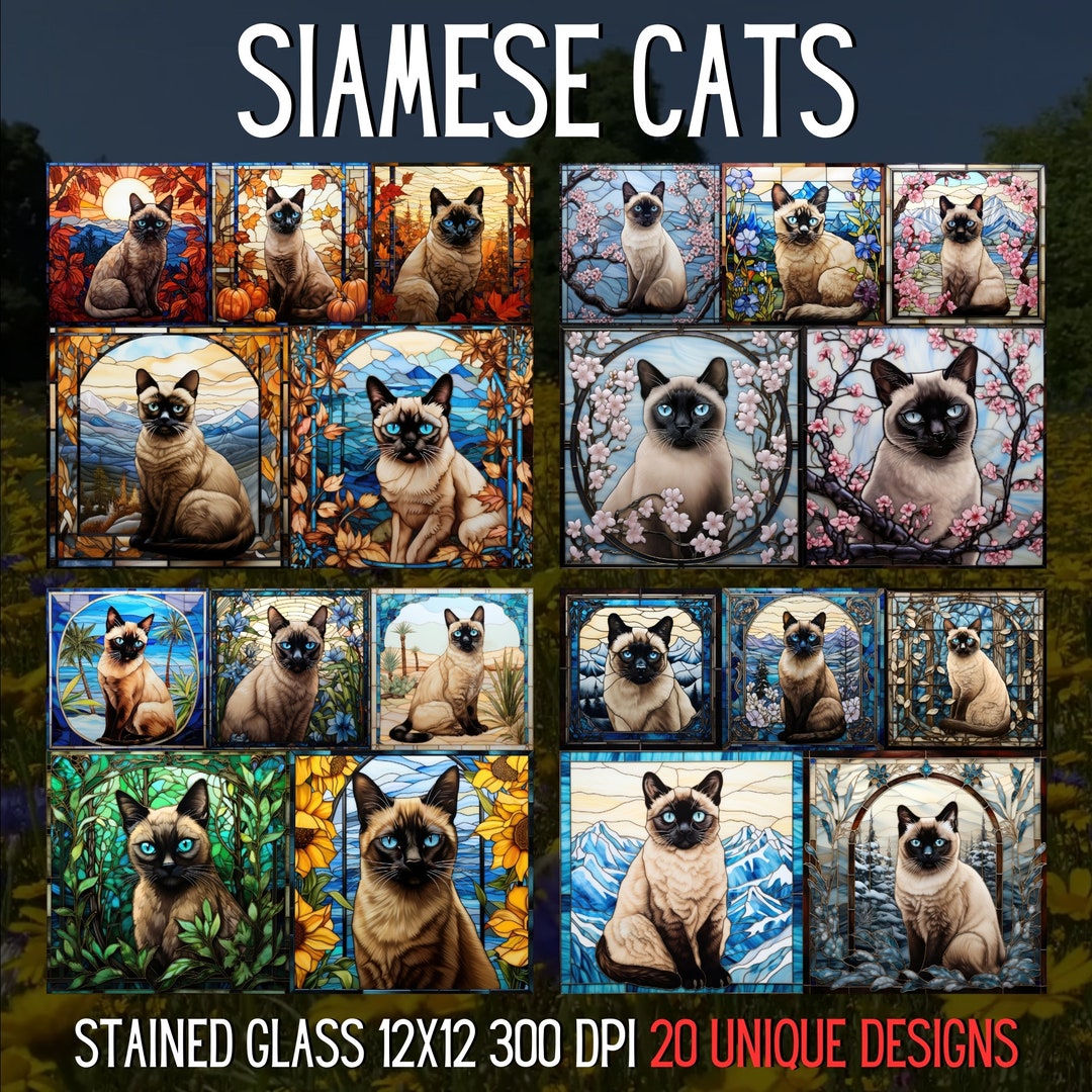 20 Stained Glass Seasonal Siamese Cat Bundle Fall Spring Summer Winter ...