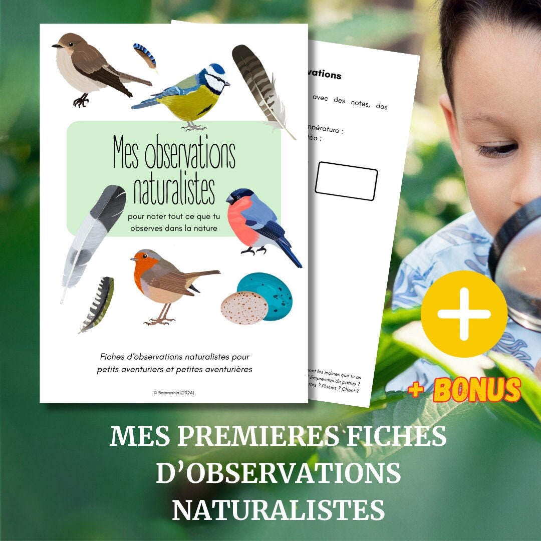 Nature and Animal Observation Sheets for Children, Field Sheets for ...