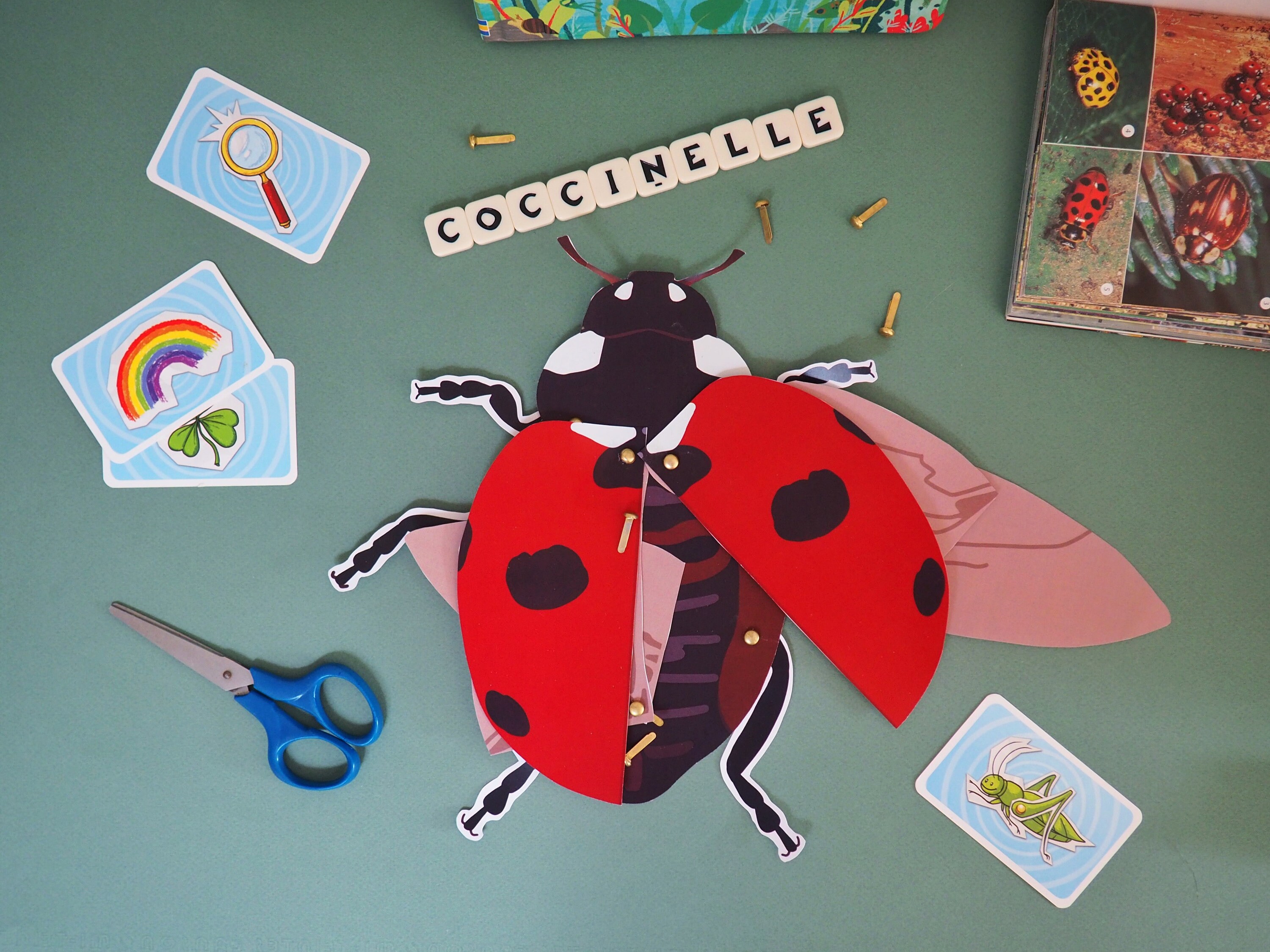 Printable Animal Manual Activity Kit, DIY Nature and Biodiversity ...