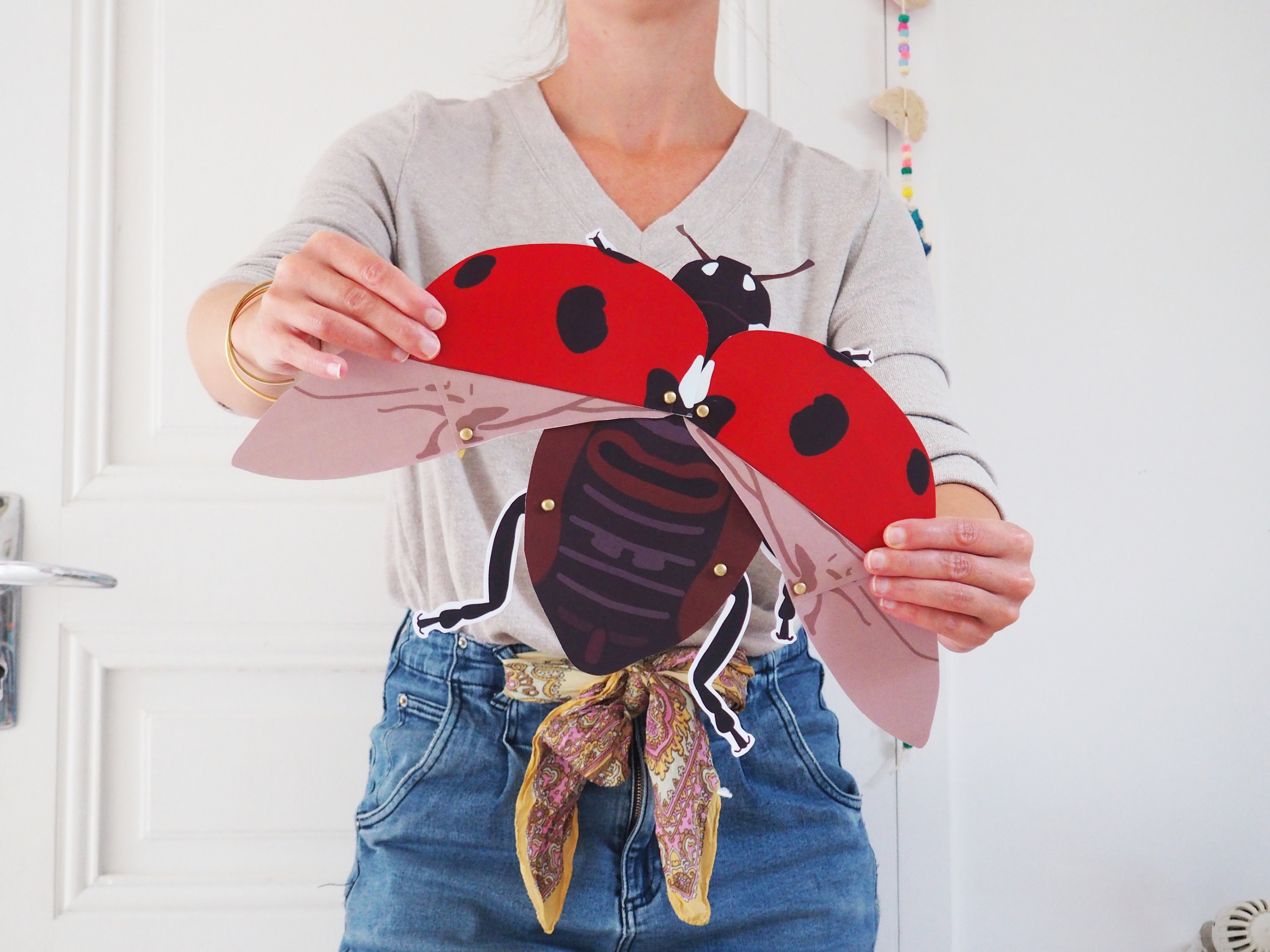 Printable Animal Manual Activity Kit, DIY Nature and Biodiversity ...