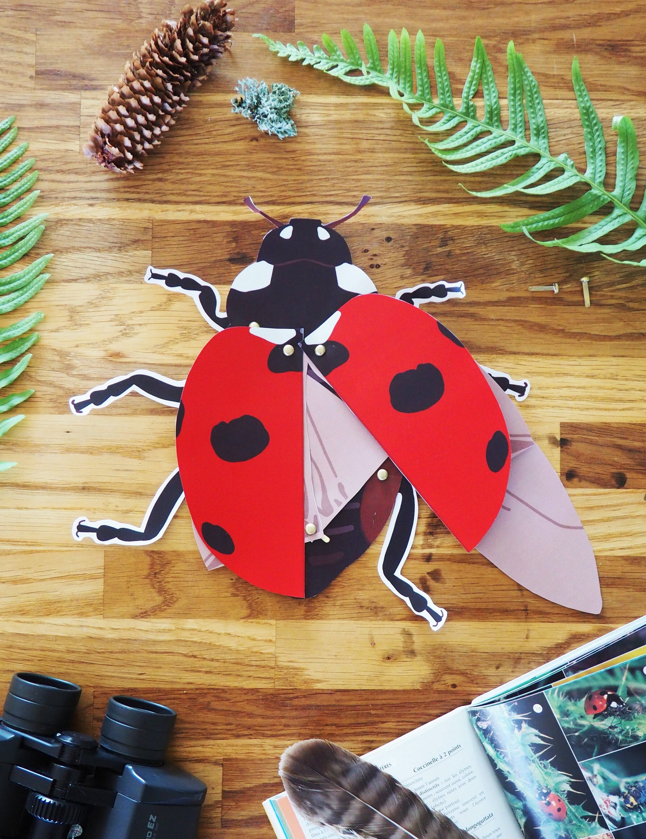 Printable Animal Manual Activity Kit, DIY Nature and Biodiversity ...