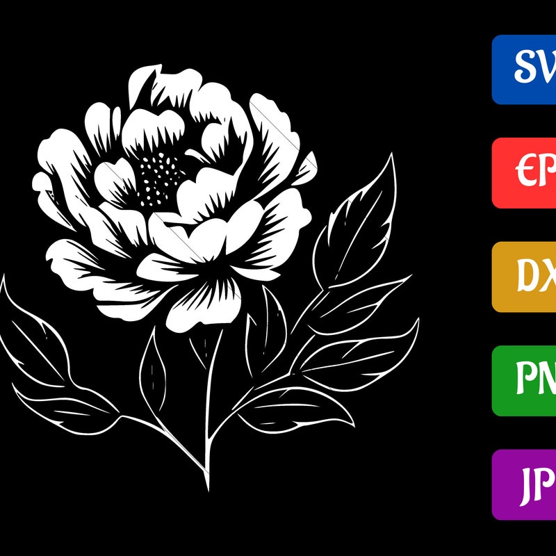 Peony Svg - Etsy