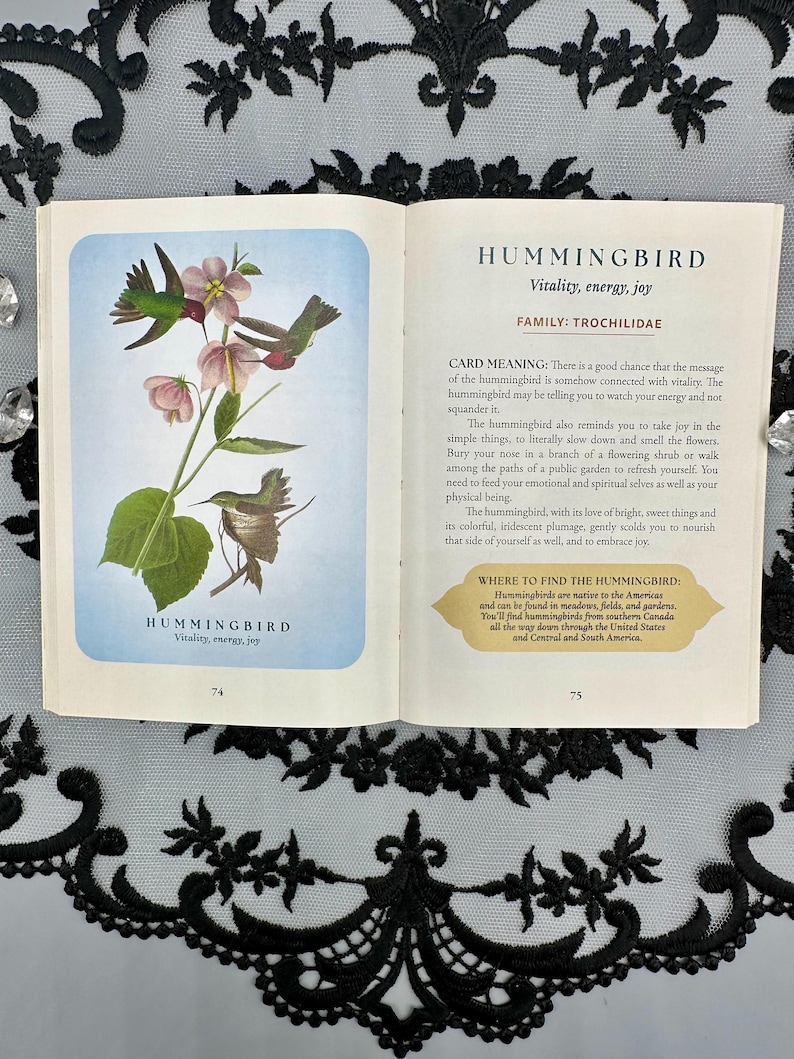 Spiritual Meaning of Birds Oracle Deck - Etsy