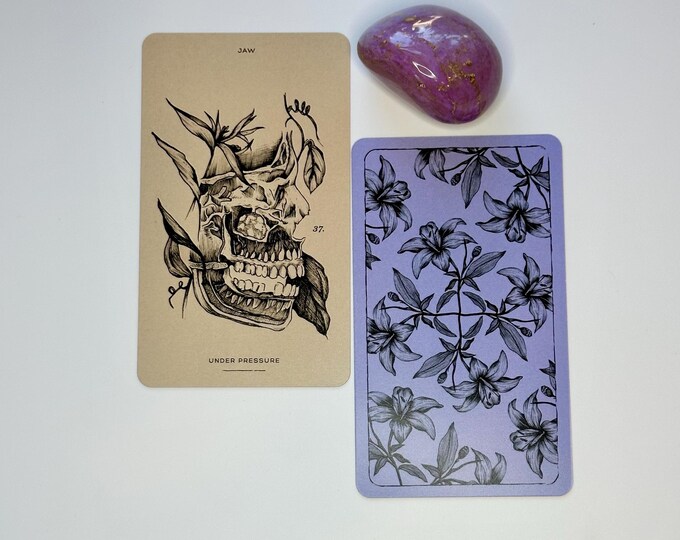 The Anatomy of Healing Oracle Deck - Let Your Body and Soul Guide You ...