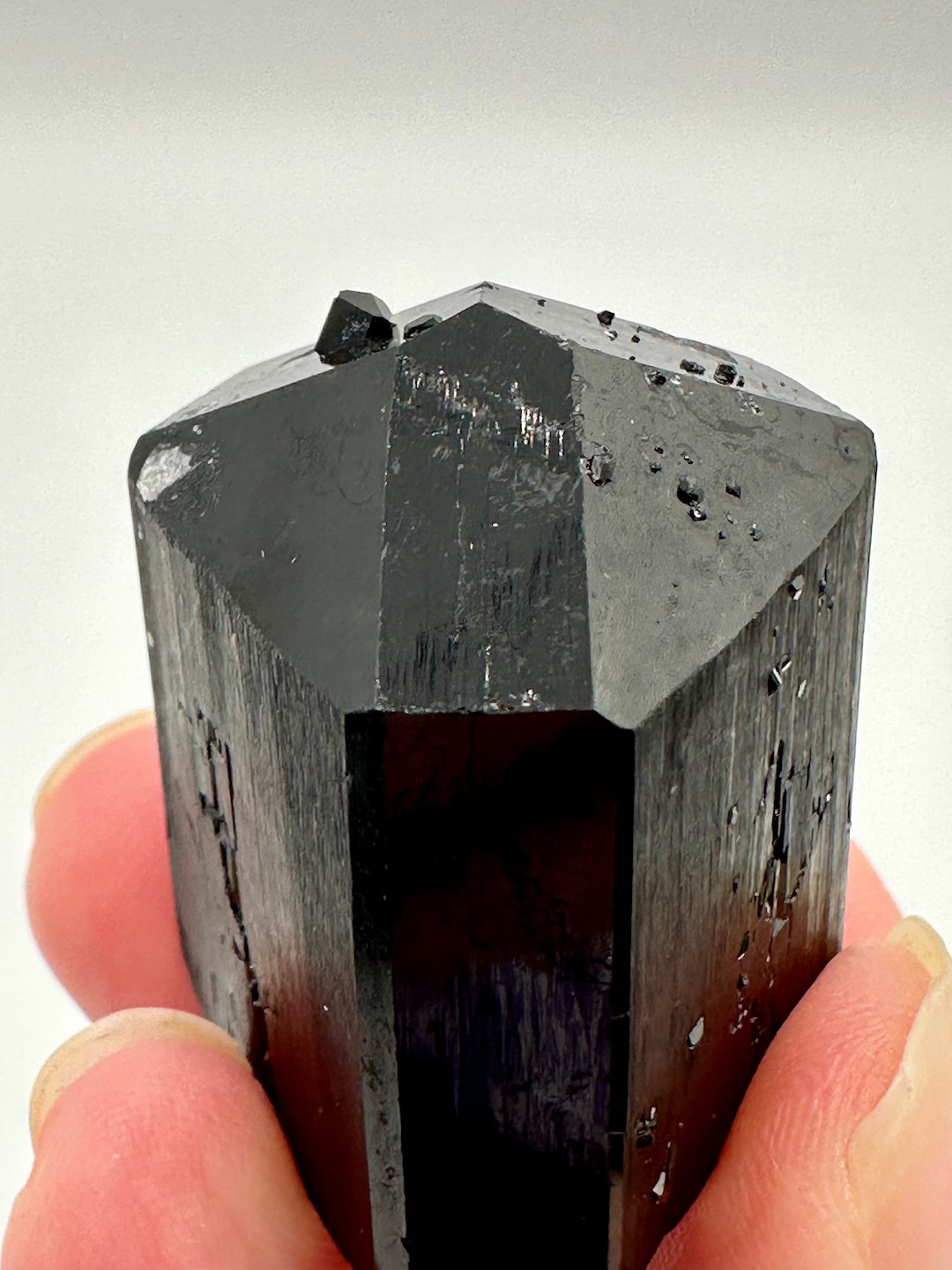 Namibian Black Tourmaline Crystal From the Erongo Mountains With ...