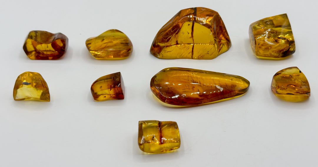 Amber With Insects Chiapas Mexican Amber Polished Amber With Bugs UV ...