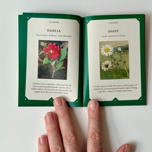 The Flower Oracle: 44 Card Deck and Guidebook -- Oracle Deck ...