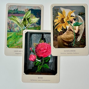 The Flower Oracle: 44 Card Deck and Guidebook -- Oracle Deck ...