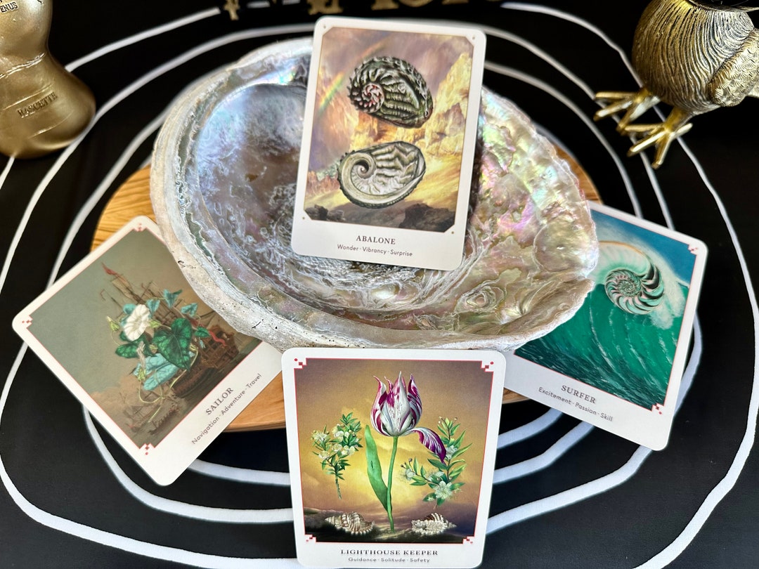 The Seashell Oracle- 44 Card Deck for Divination, Wisdom of the Sea ...