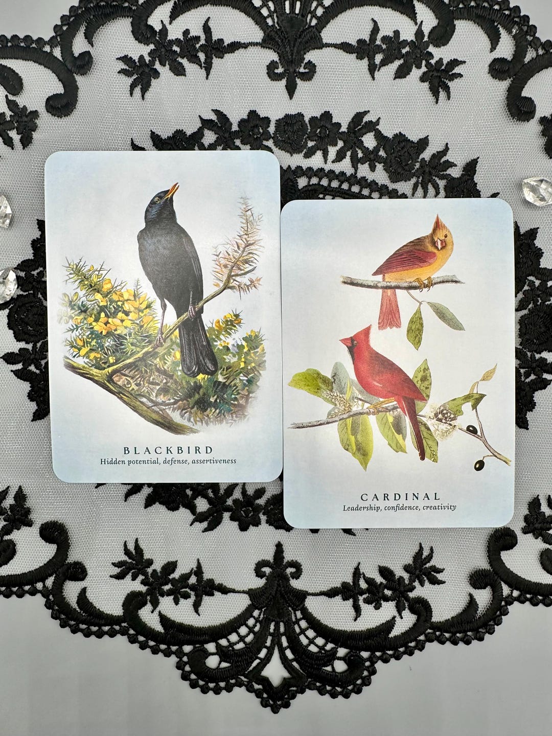 Spiritual Meaning of Birds Oracle Deck - Etsy