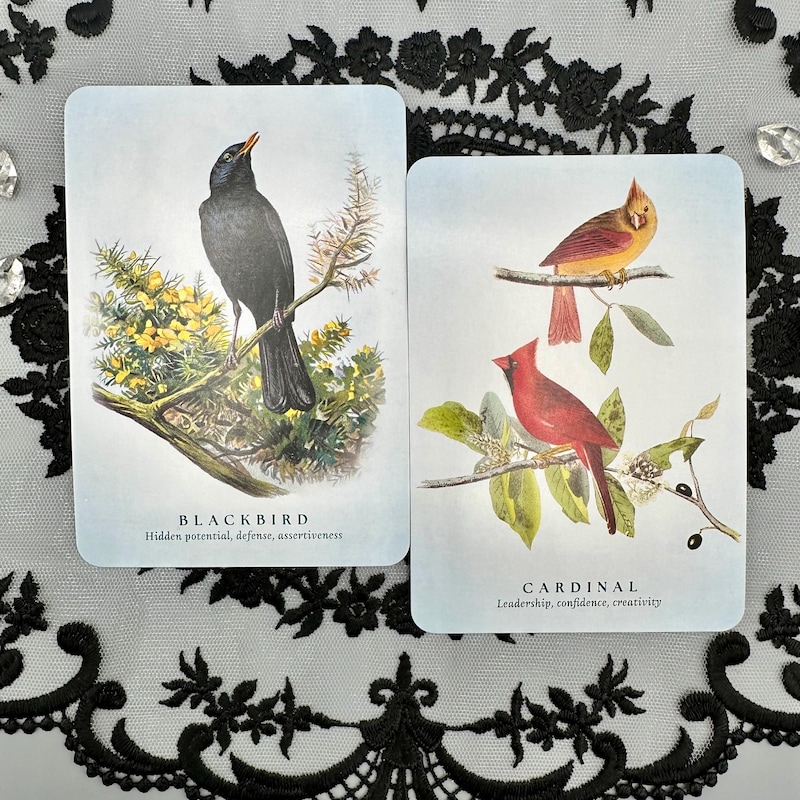 Bird Oracle Cards - Etsy
