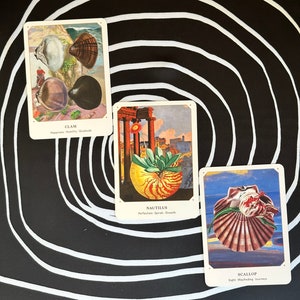 The Seashell Oracle- 44 Card Deck for Divination, Wisdom of the Sea ...