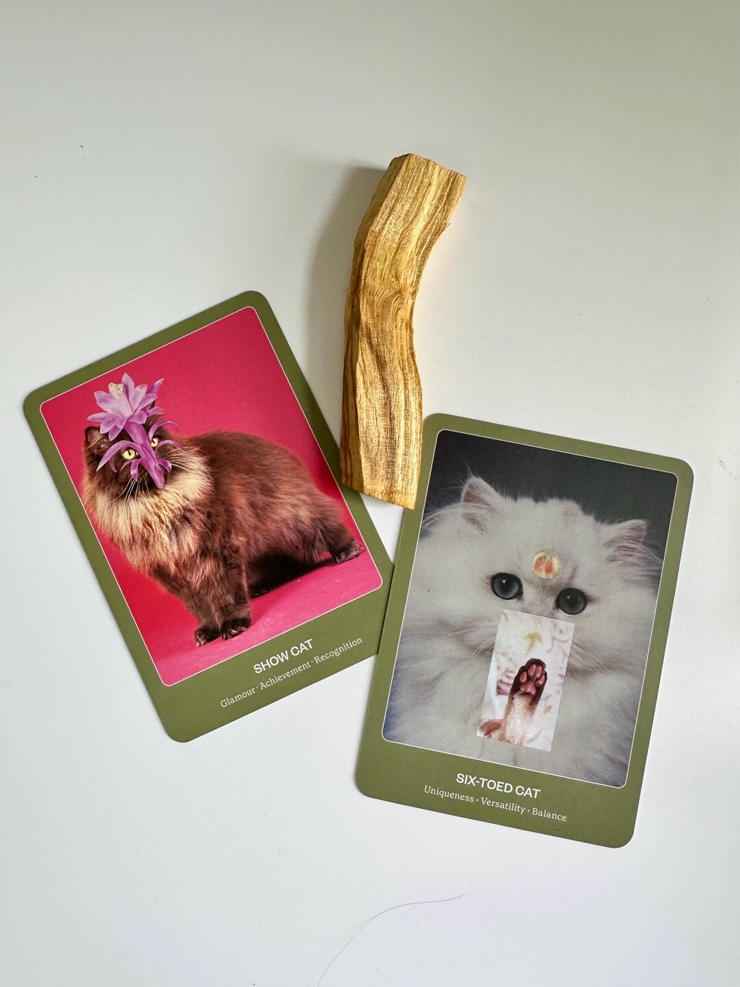The Cat Oracle: 33 Card Deck and Guidebook for Divination and Feline ...