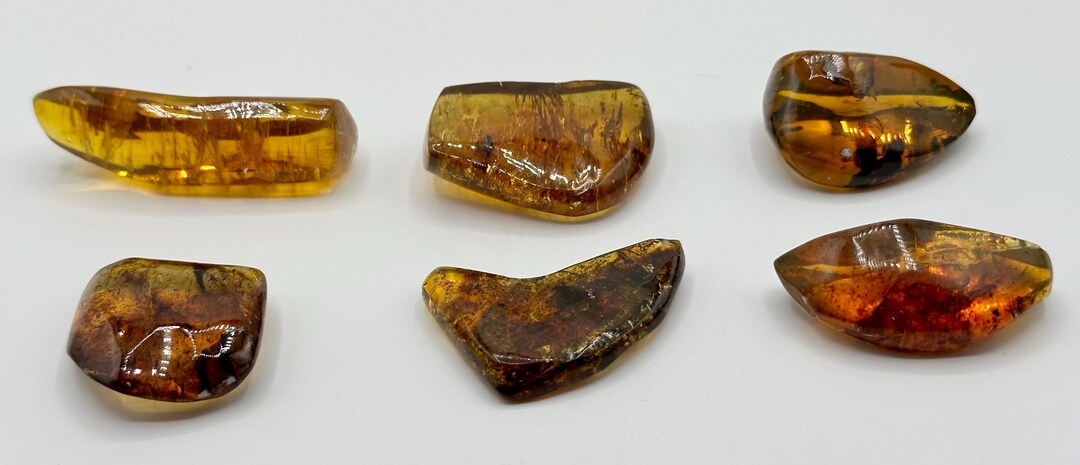 Chiapas Amber Large Amber Specimens Mexican Amber Polished Amber UV ...