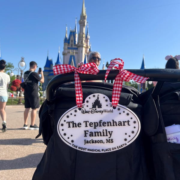 Disneyworld Name Tag - Etsy