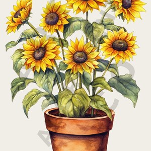 Sunflower Pot Clipart Watercolour Summer Clipart Bundle Sunflower SVG ...