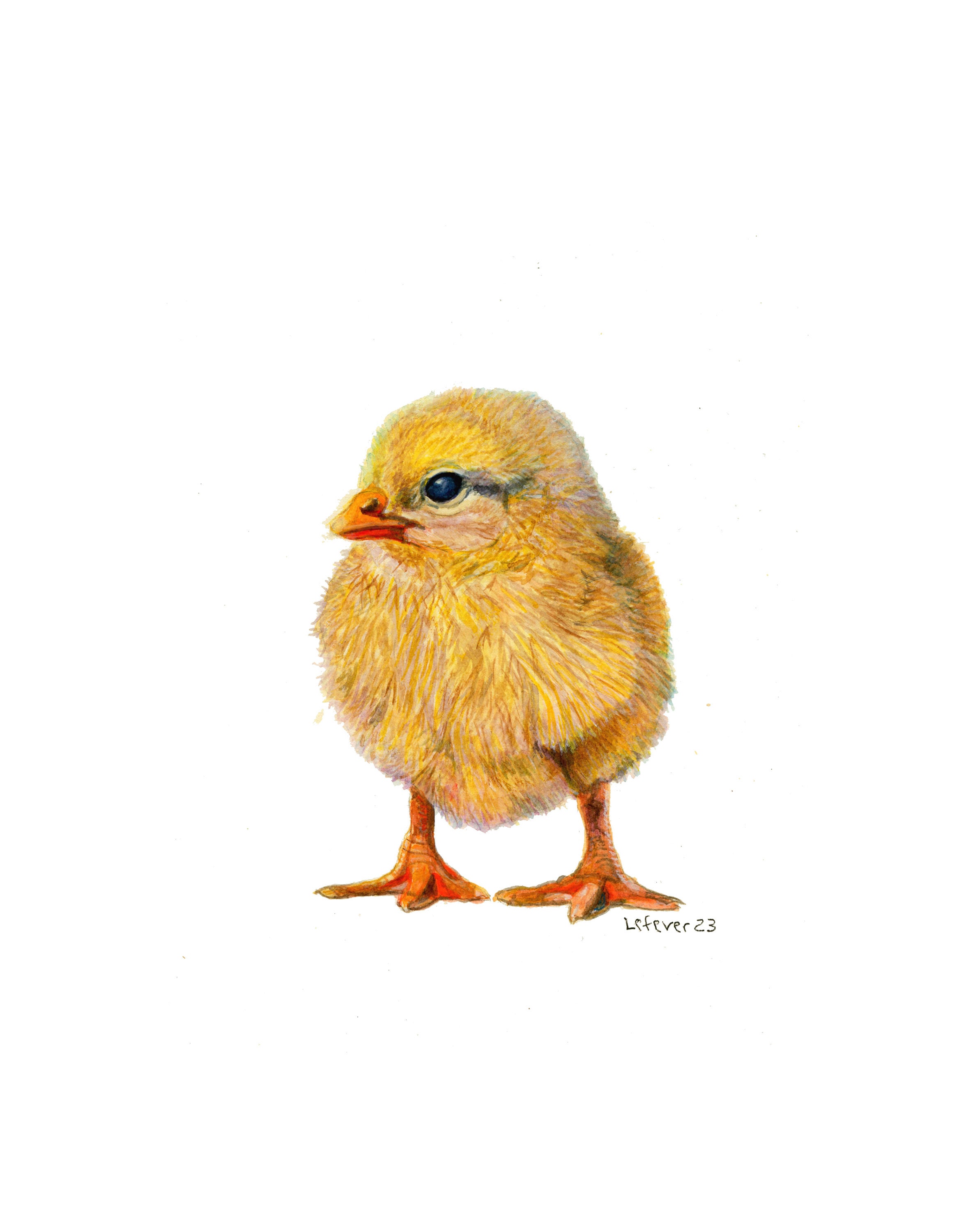 Chicken Wall Art Print Watercolor Painting Nursery Wall Decor Baby ...