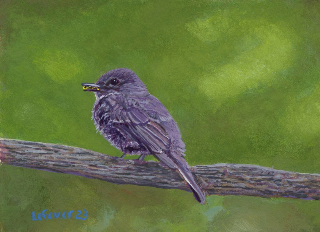 Bird Print Wall Art Eastern Phoebe Casein Painting Print Wall Decor ...