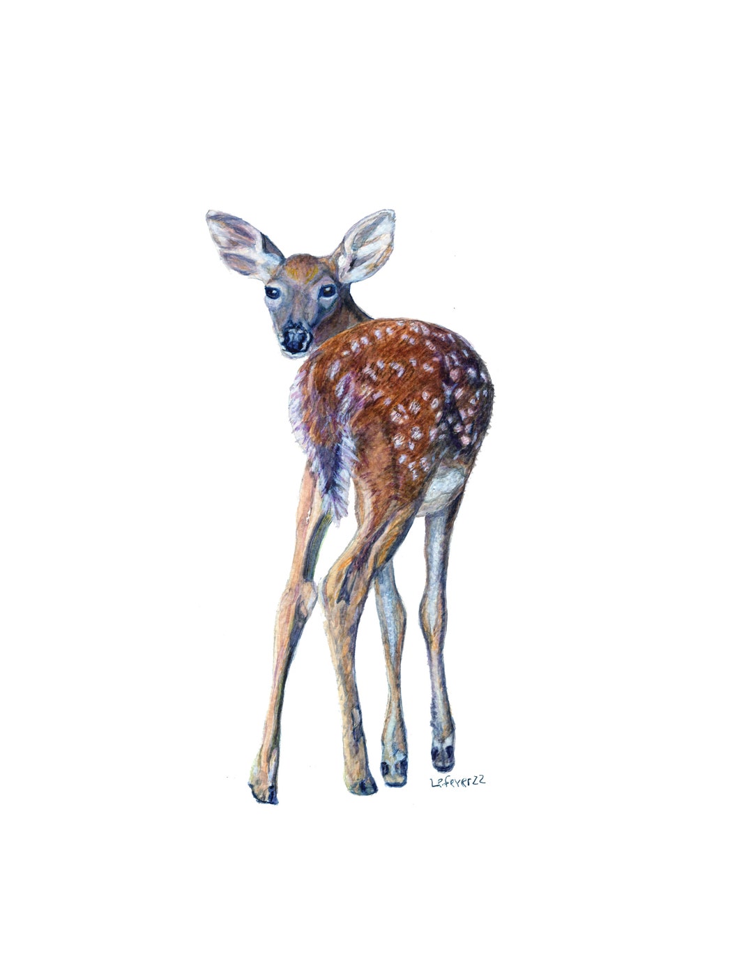 Deer Fawn Print Wall Art Watercolor Painting Print Wall Decor Baby Deer ...