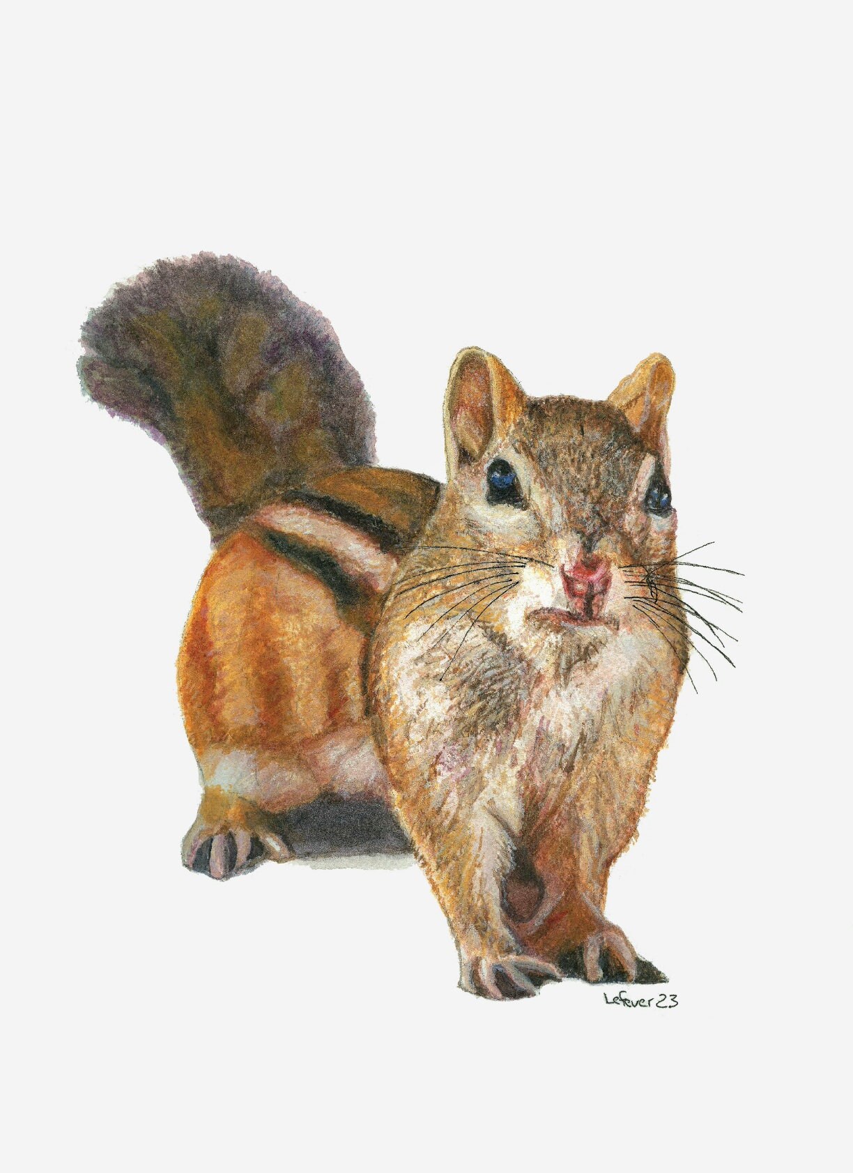 Chipmunk Print Wall Art Watercolor Painting Print Wall Decor Nursery ...