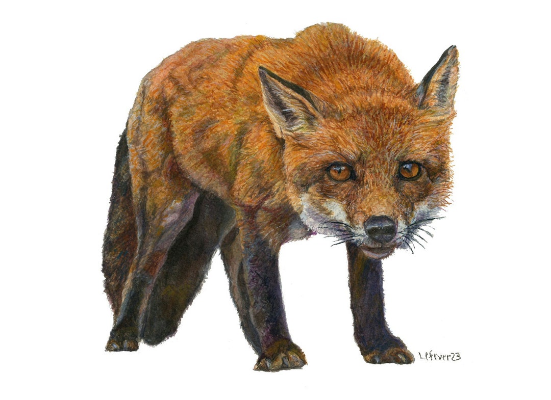 Fox Print Wall Art Print Watercolor Painting Print Red Fox Wall Decor ...