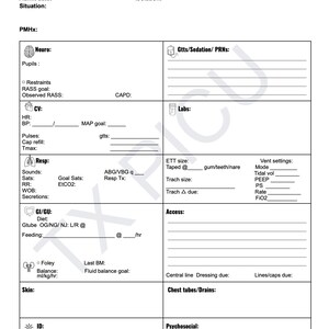 PICU Report Sheet Version 1 - Etsy