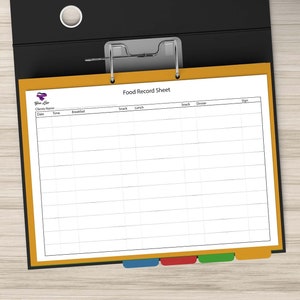 NDIS Food Record Sheet Digital Record Sheet - Etsy