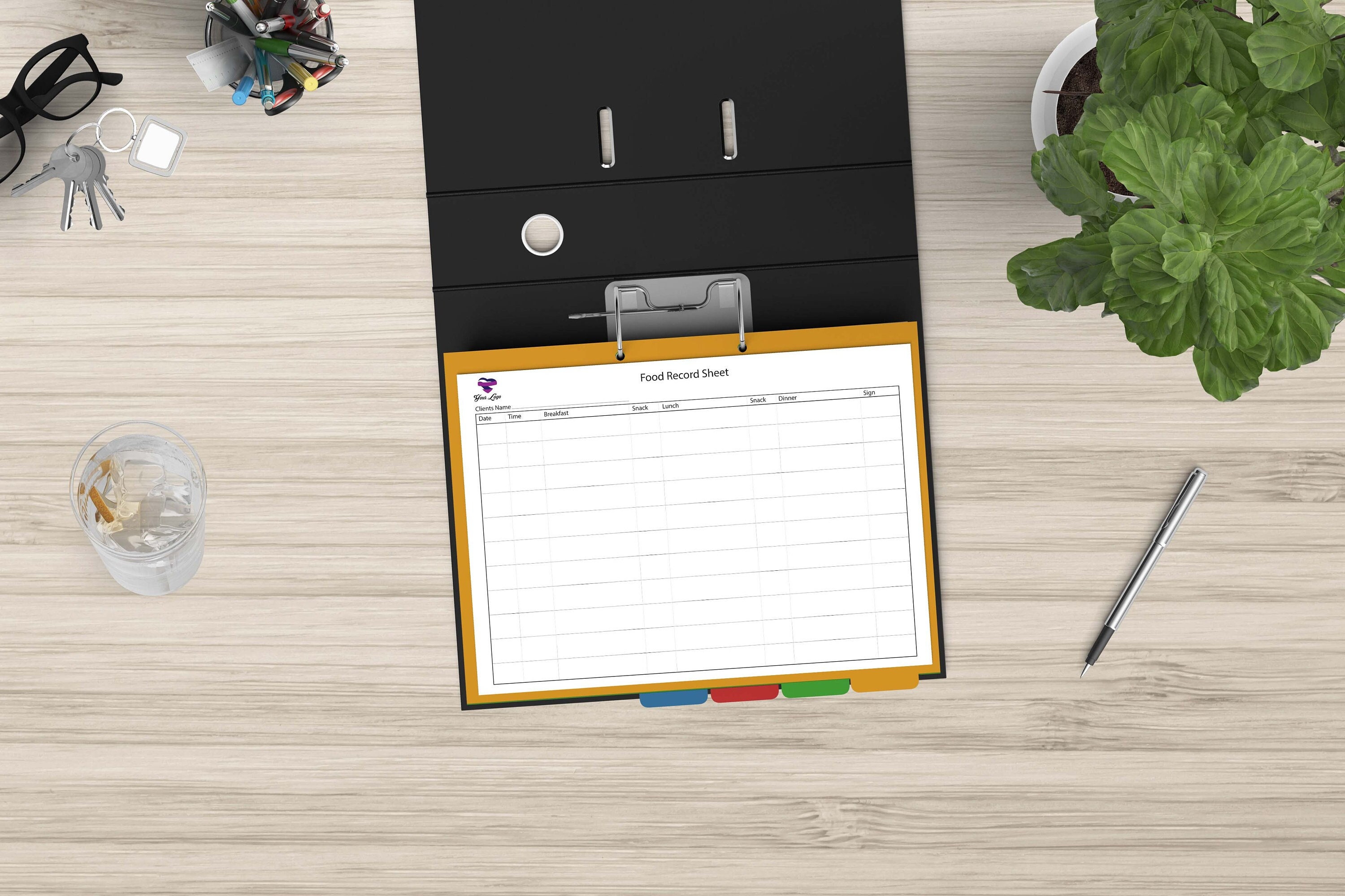 NDIS Food Record Sheet Digital Record Sheet - Etsy
