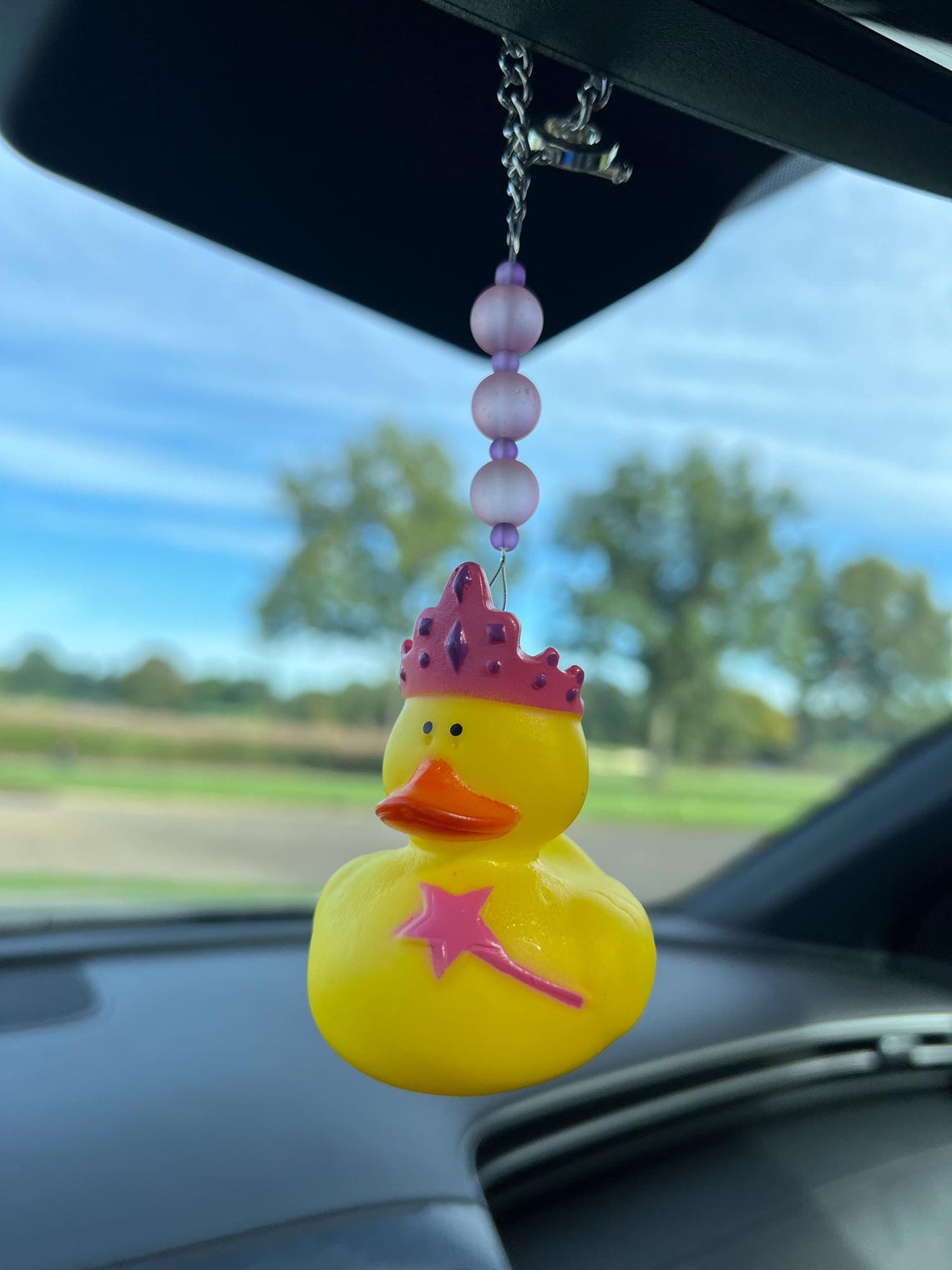 Pink Princess Duck - Etsy
