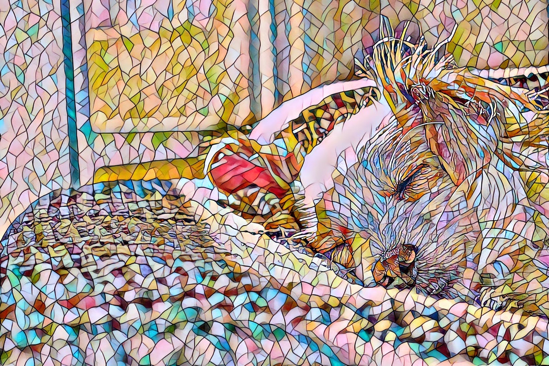 Pet Puppy Mosaic Art Coloring Page for Teens and Adults - Etsy