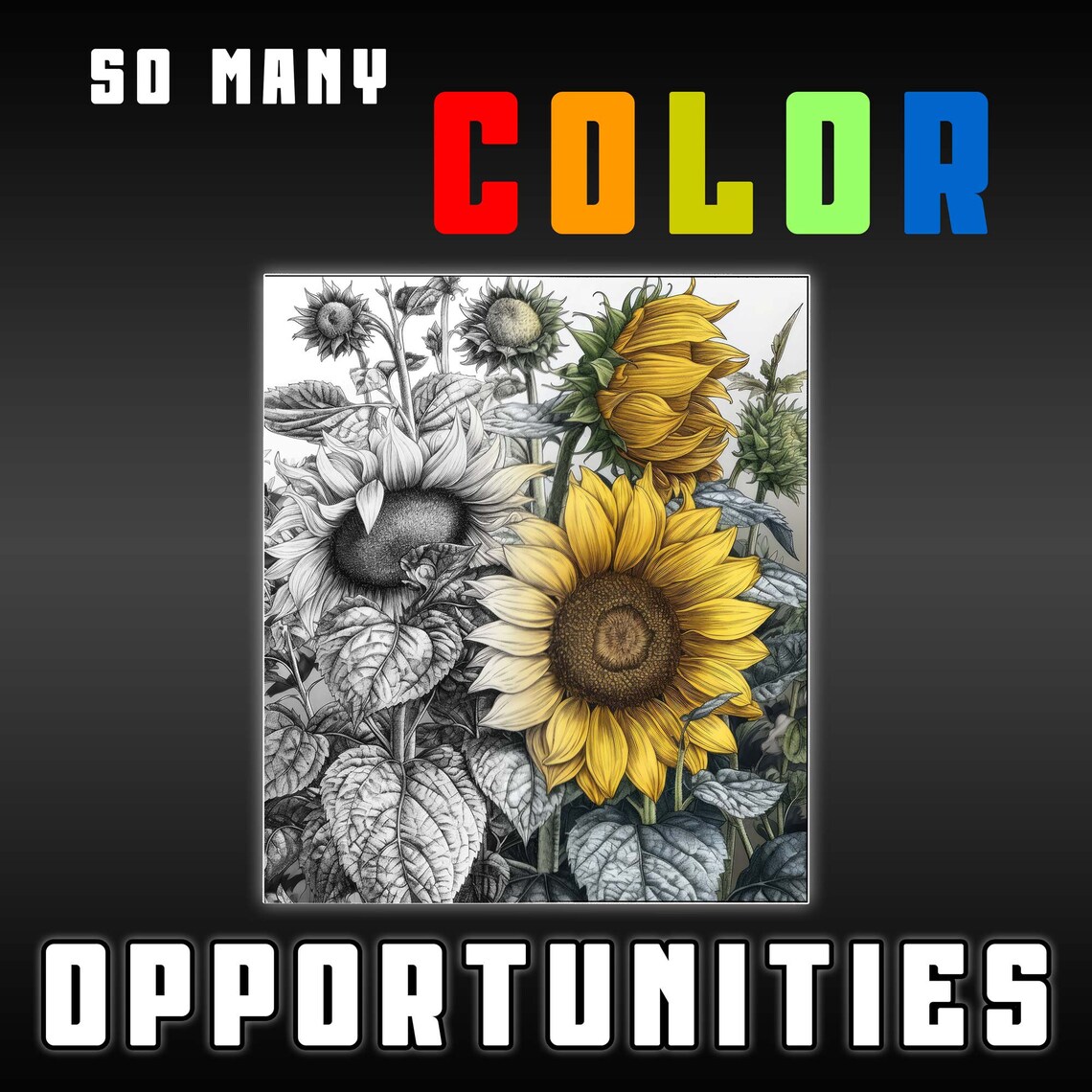Summer Sunflower Scenes Coloring Pages Dark & Light Versions Greyscale ...