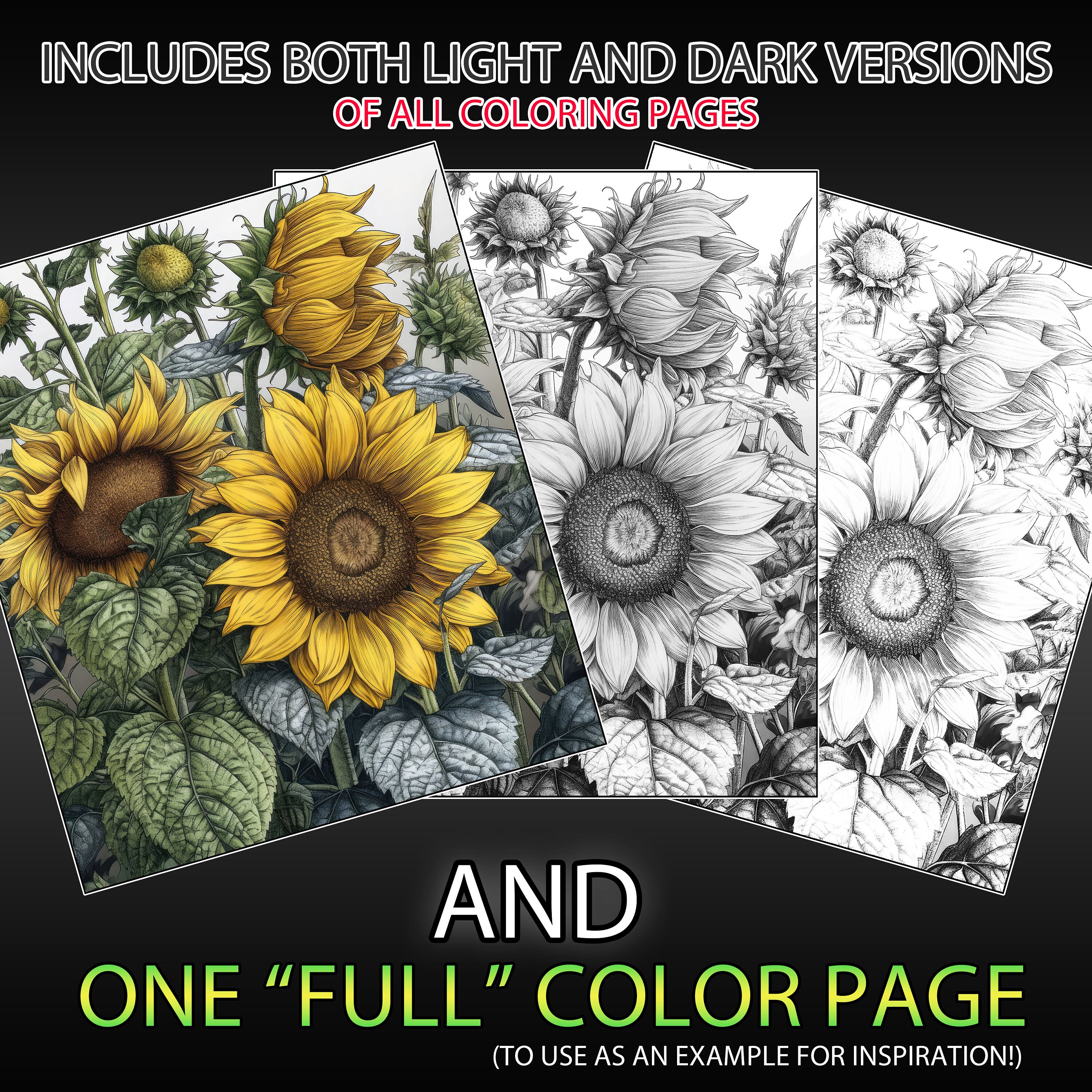 Summer Sunflower Scenes Coloring Pages | Instant Download | Coloring ...